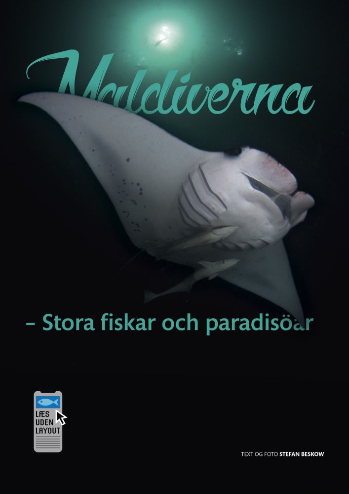 Maldiverna – Stora fiskar och paradisöar | DYK
